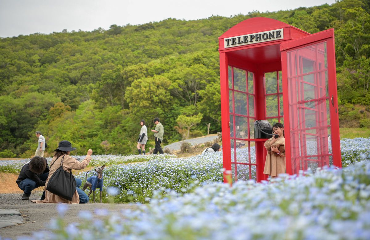 三者三様 | GANREF