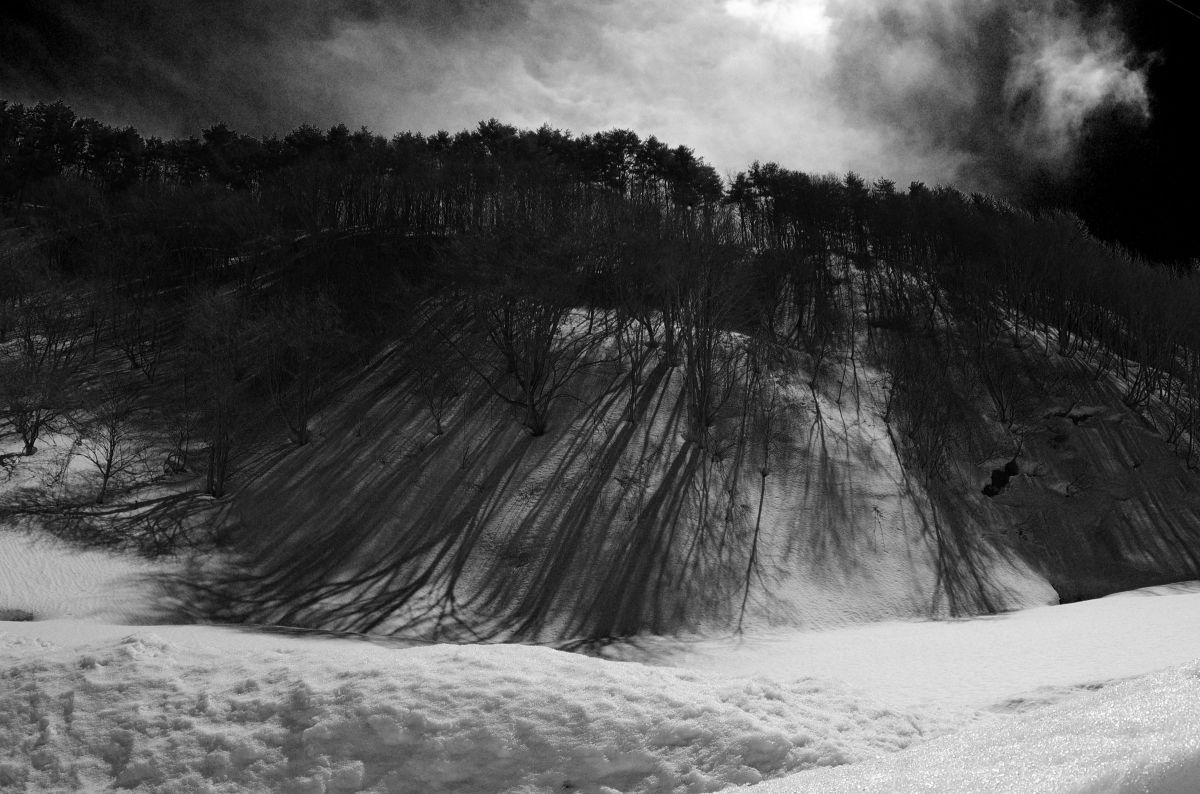 trace the line | GANREF