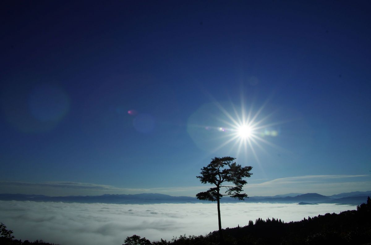 Above the Clouds | GANREF