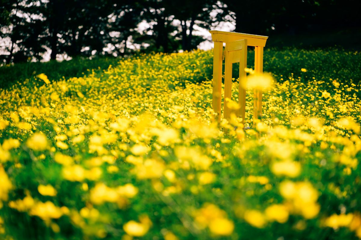 レモンブライトに囲まれた黄色のドア | GANREF