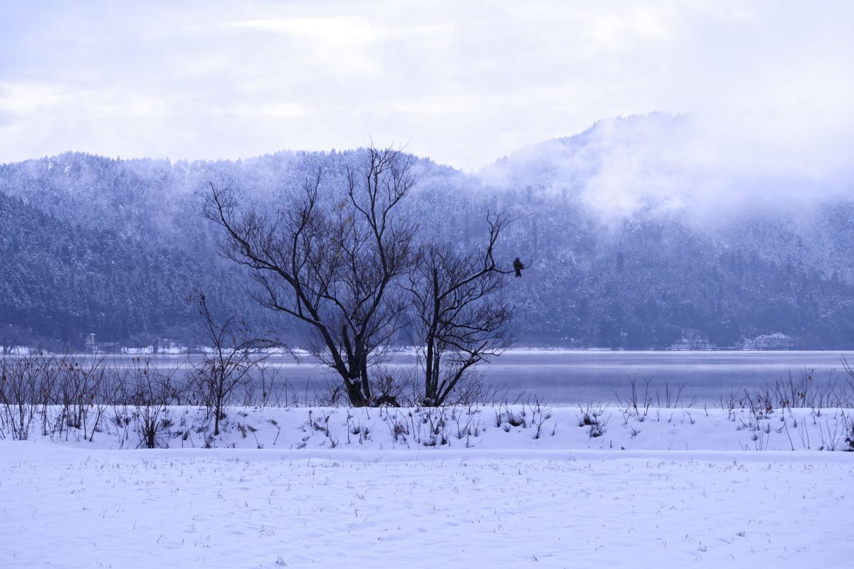 冬の余呉湖畔 | GANREF