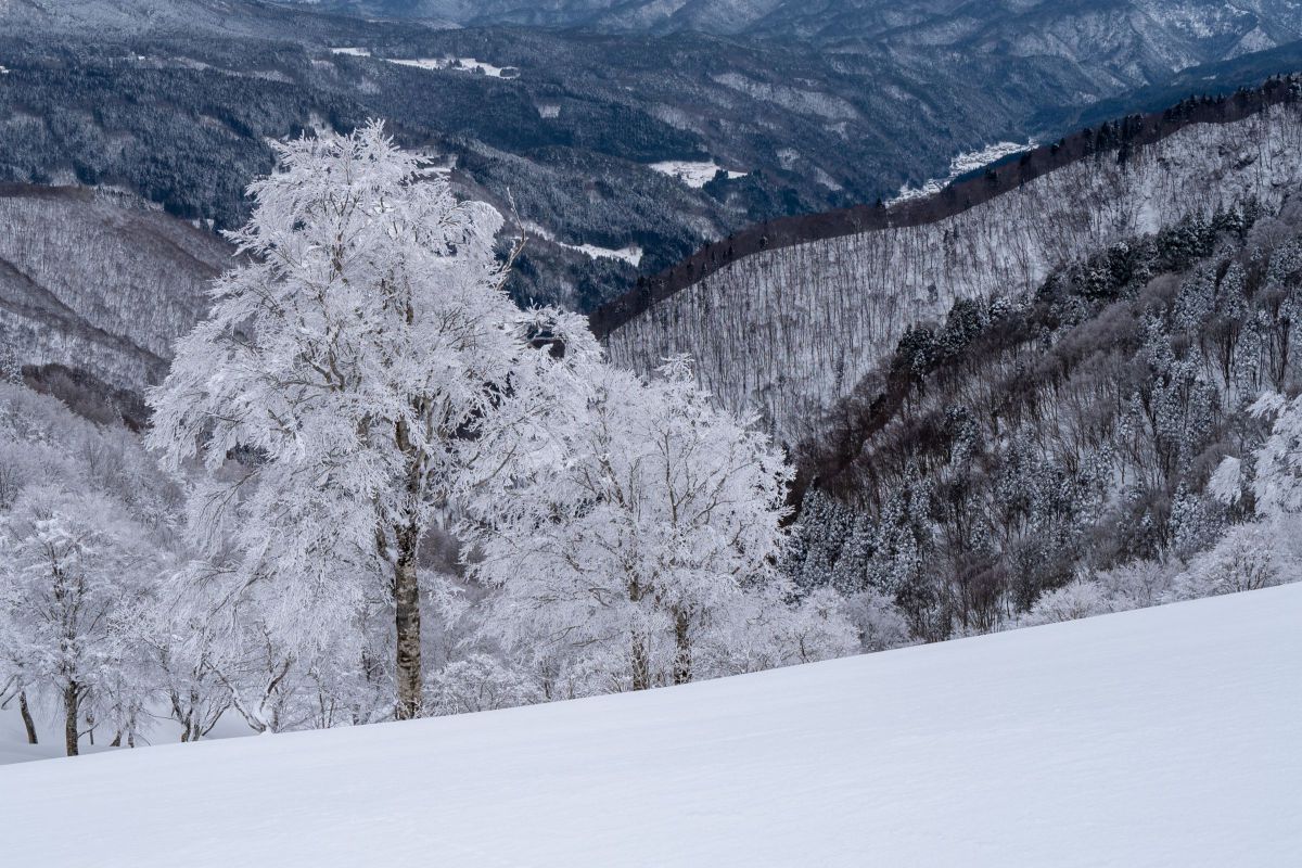 冬山にて | GANREF