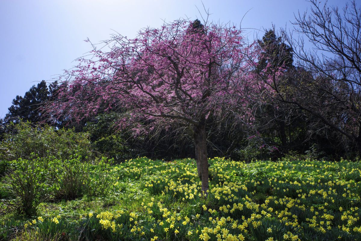 自転車旅の途上にて2 | GANREF