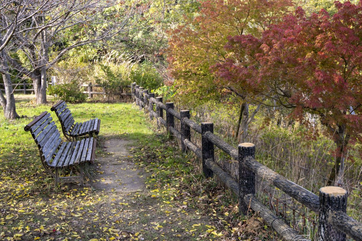 昼下がりの公園にて | GANREF