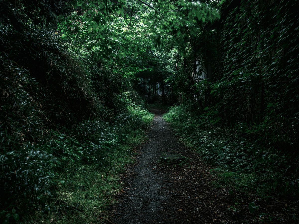 Into The Green | GANREF