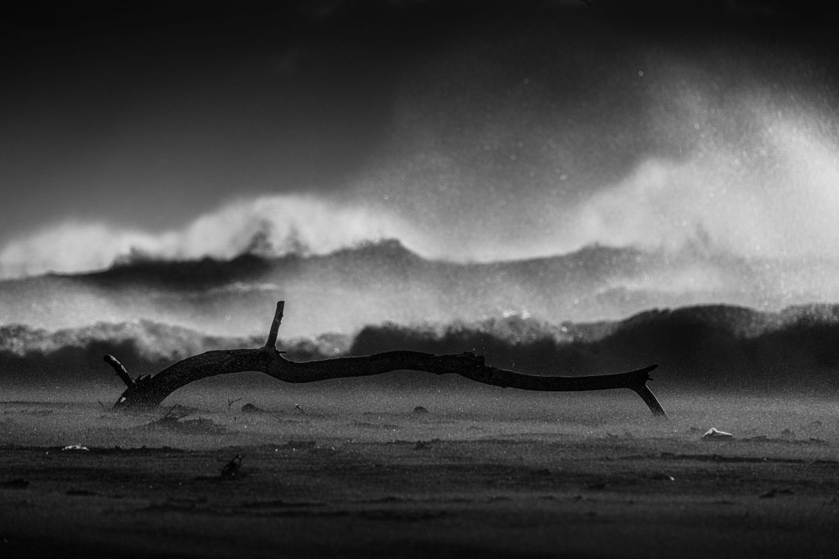 raging ocean | GANREF