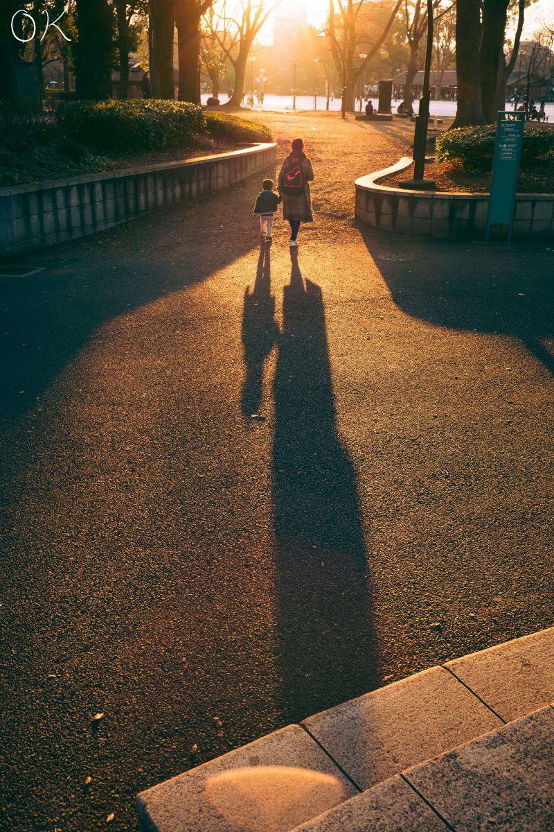 ひかりを求めて_No1 | GANREF