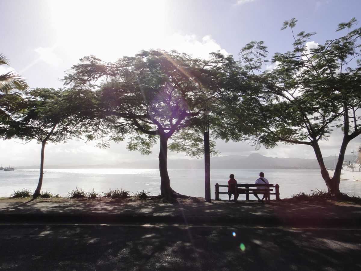 フィジー、スバ 2010 | GANREF