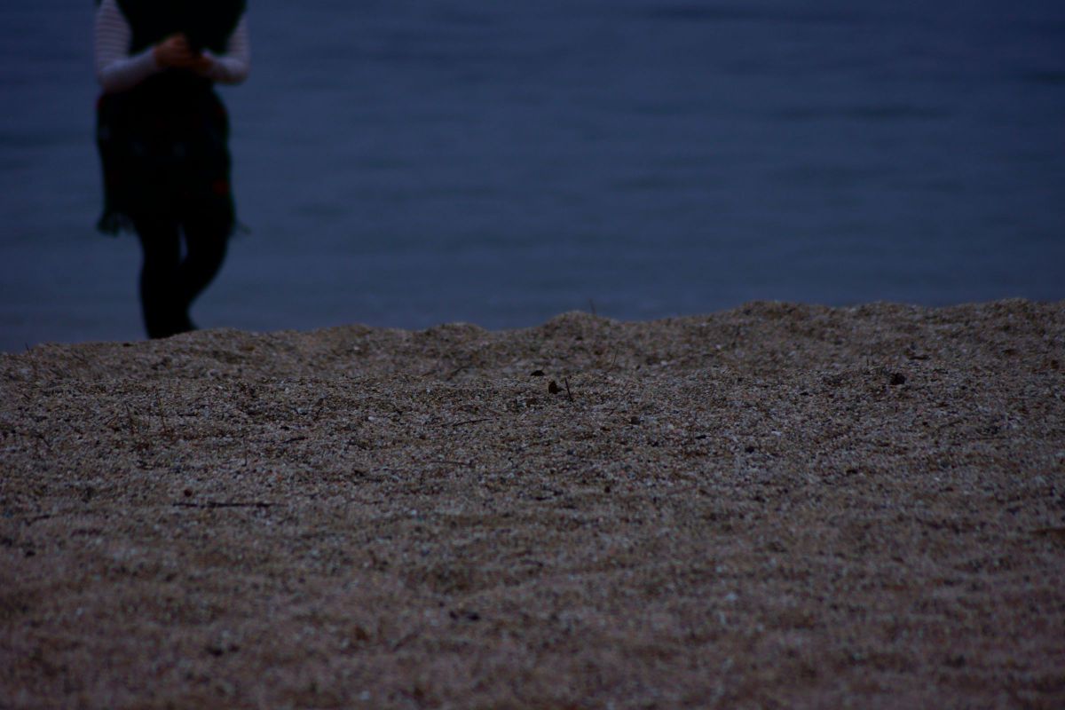 砂浜の砂 | GANREF