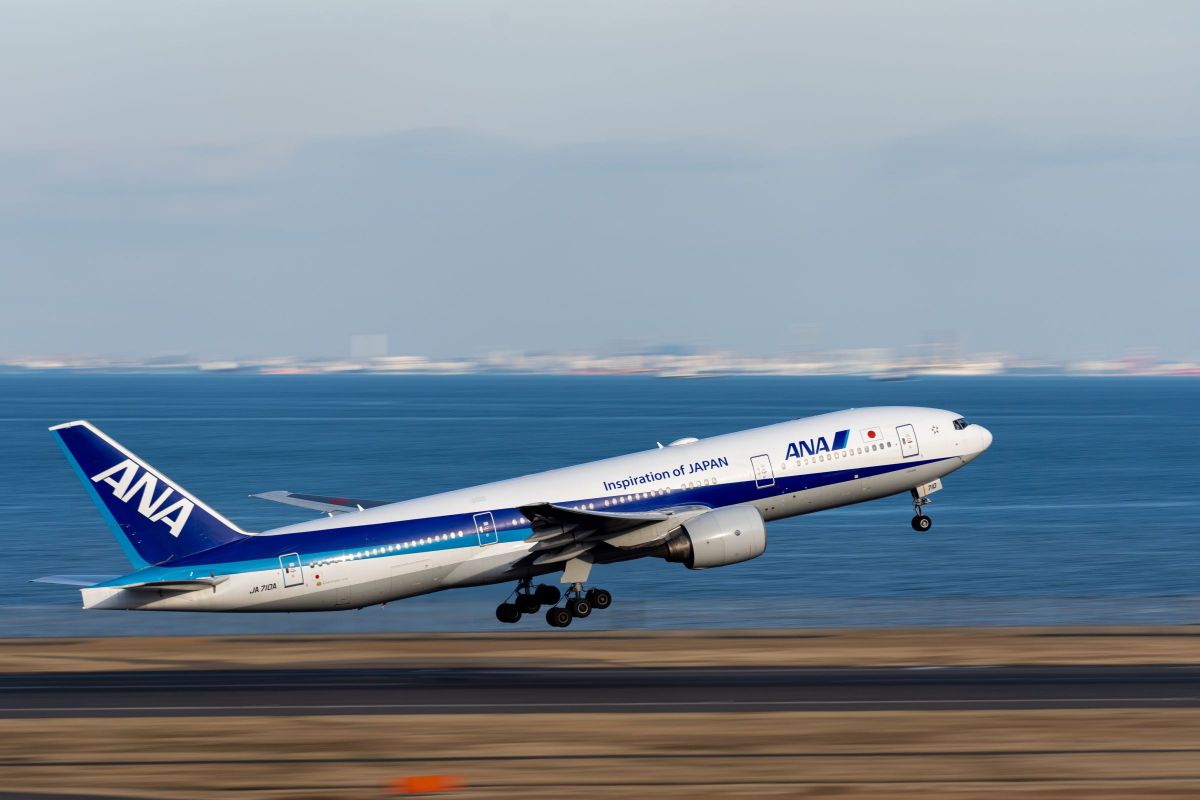 Blue one flying | GANREF