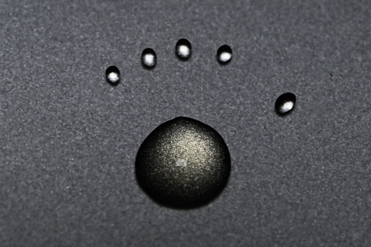 誰の足跡？ | GANREF