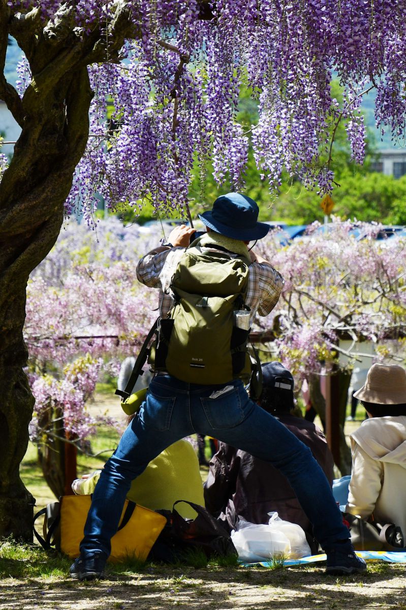 しっかり構えて！ | GANREF