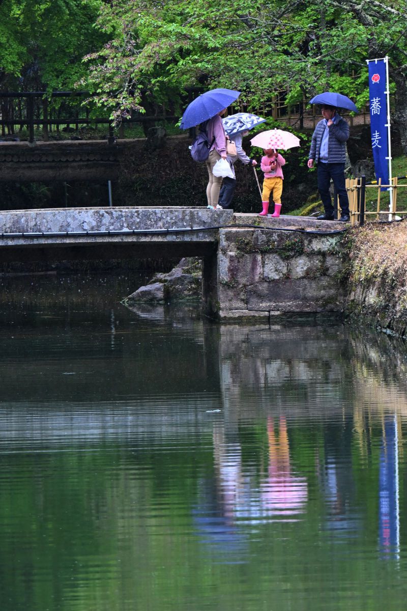 雨の日に | GANREF