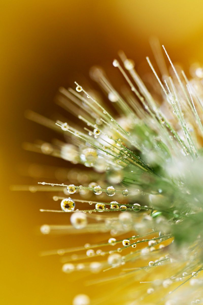 雫あそび | GANREF