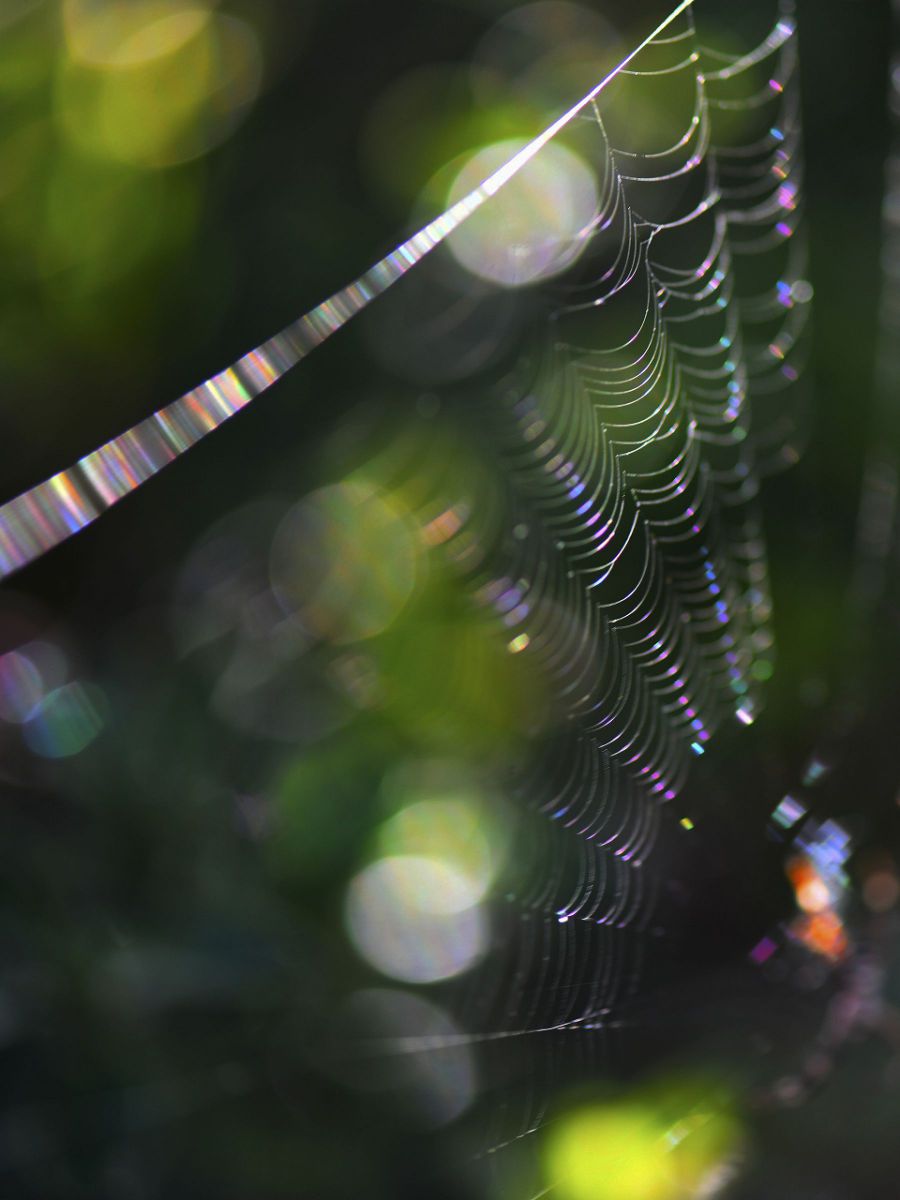 み～つけた！(^-^) | GANREF