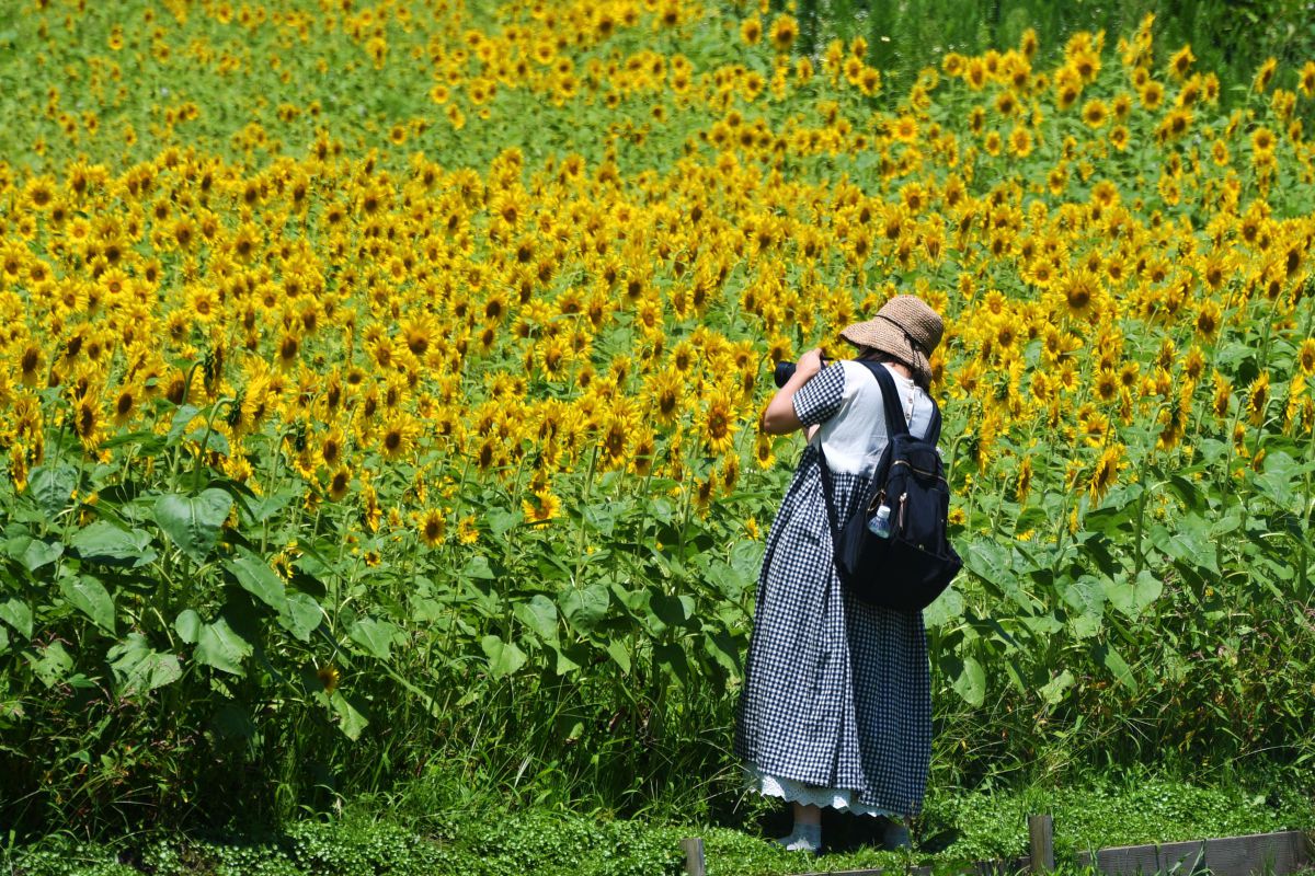 素敵なカメラ女子 | GANREF
