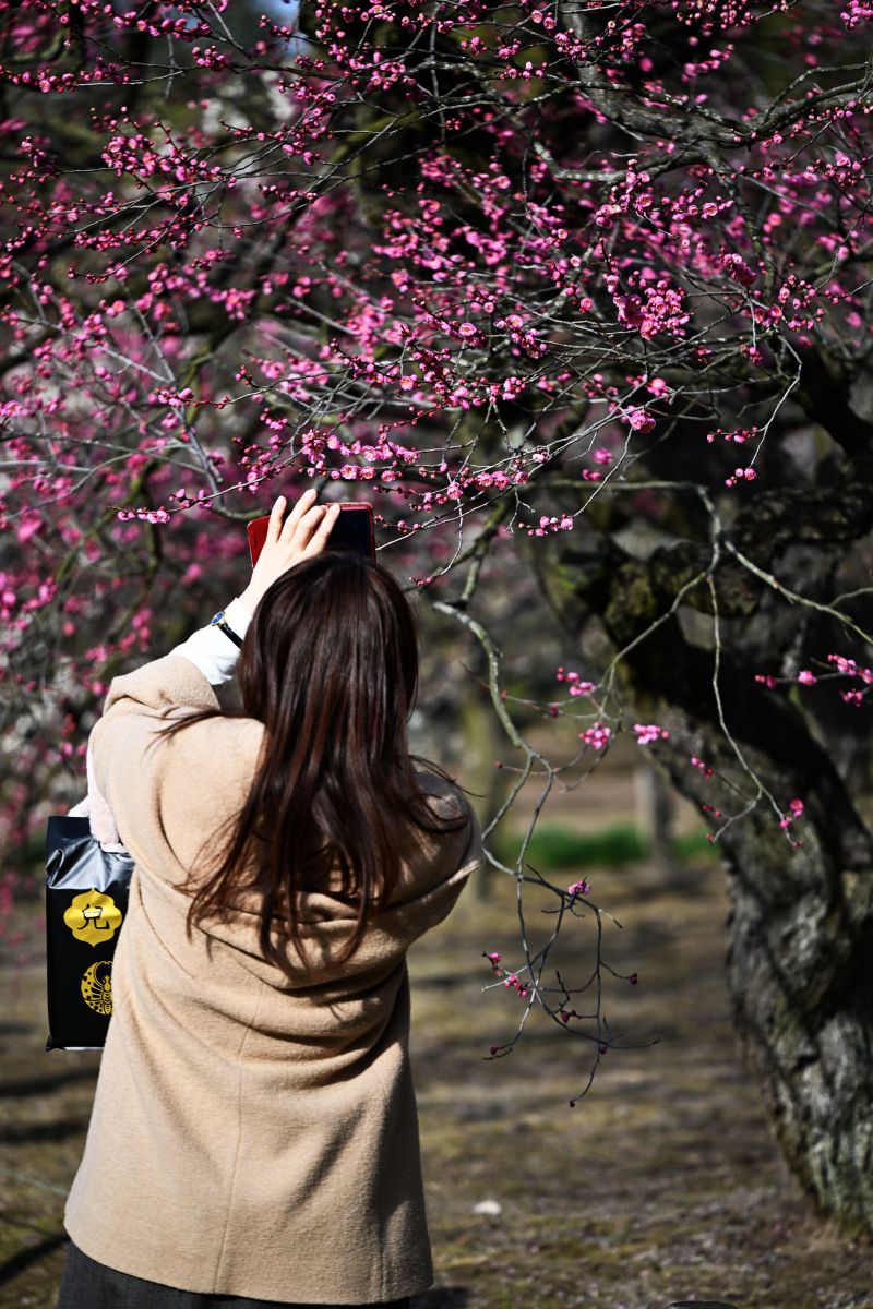 撮らずにはいられない | GANREF