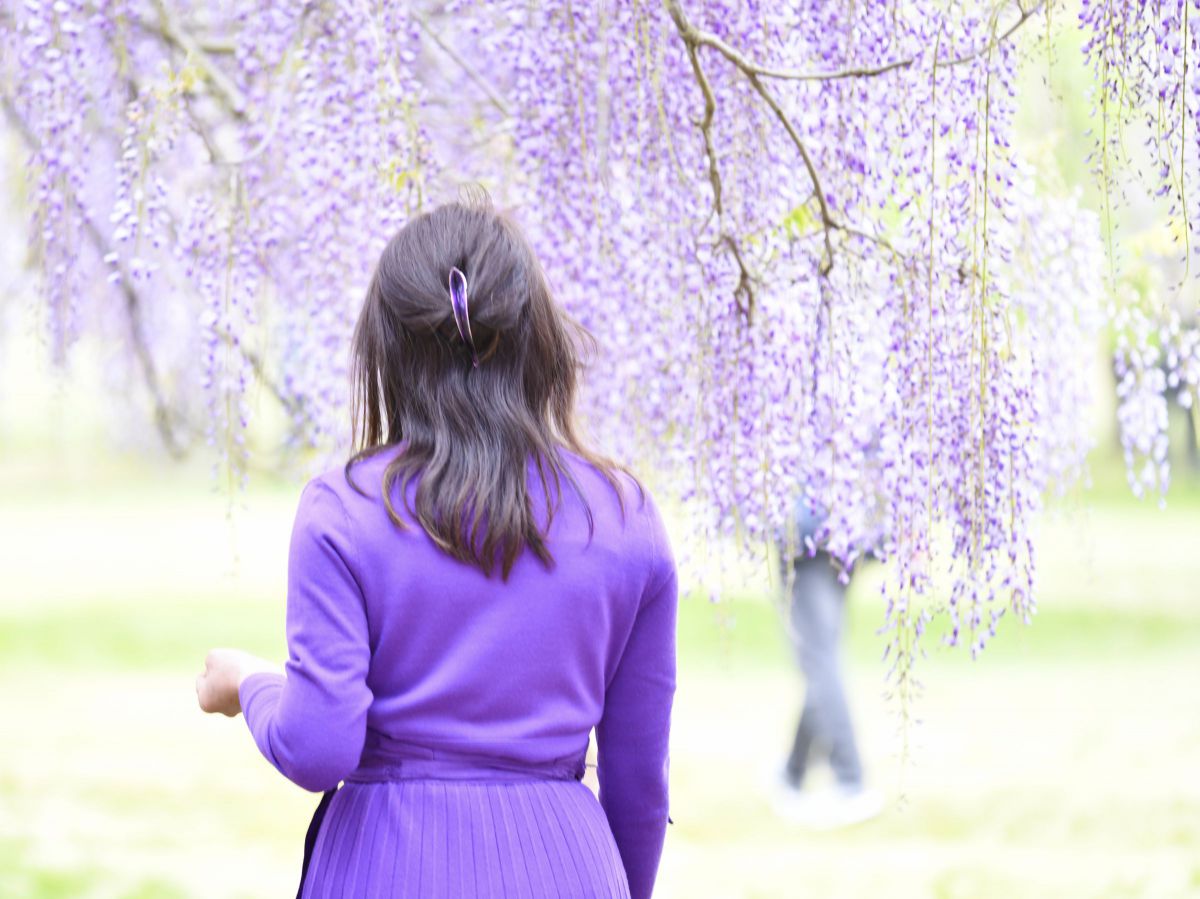 藤色の女 | GANREF