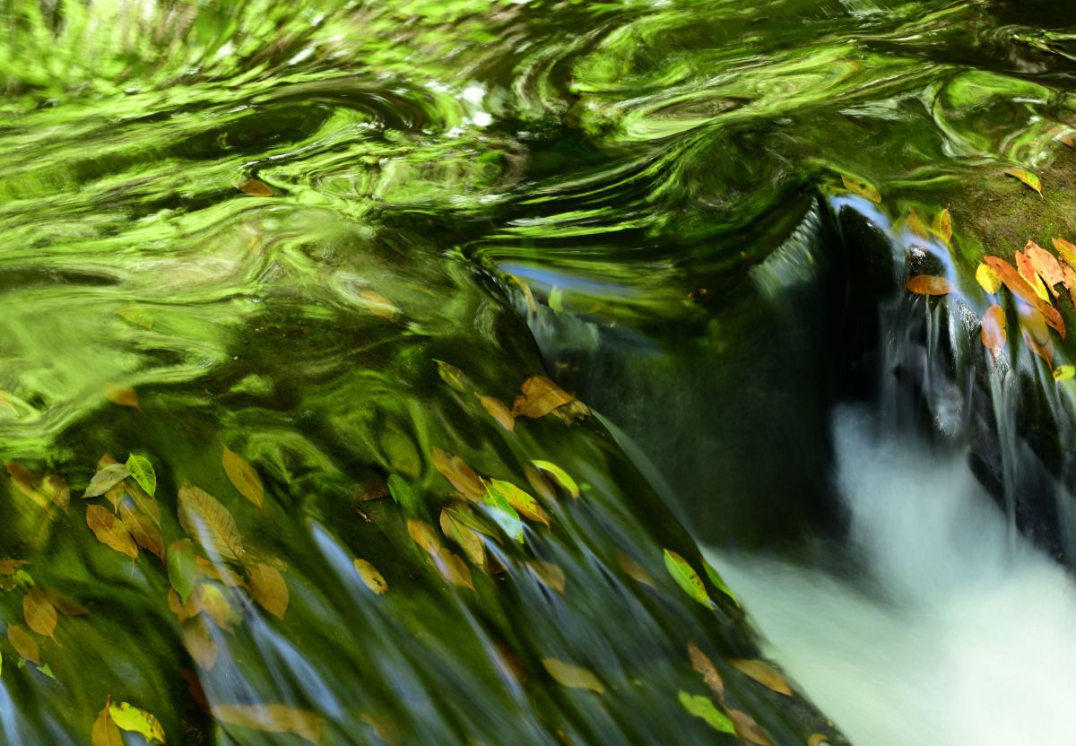 Reflection＆Flow | GANREF