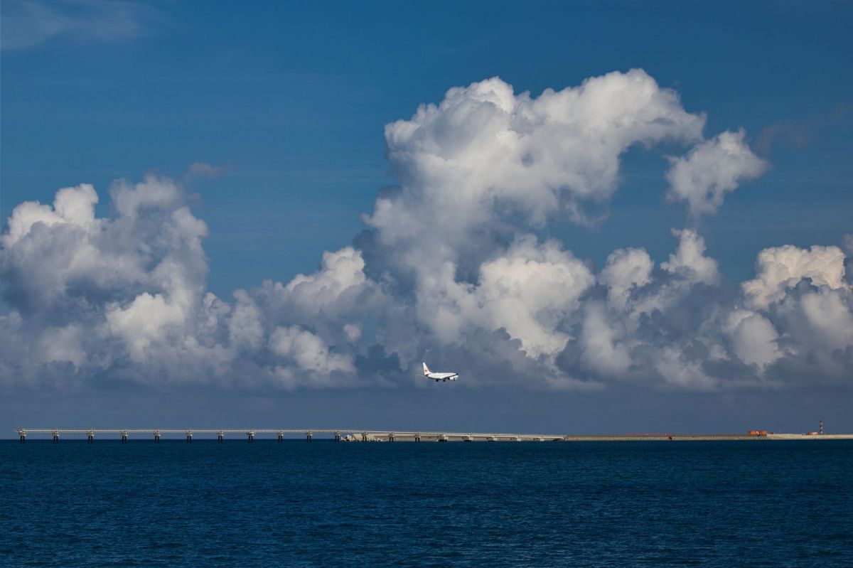 バックショット | GANREF