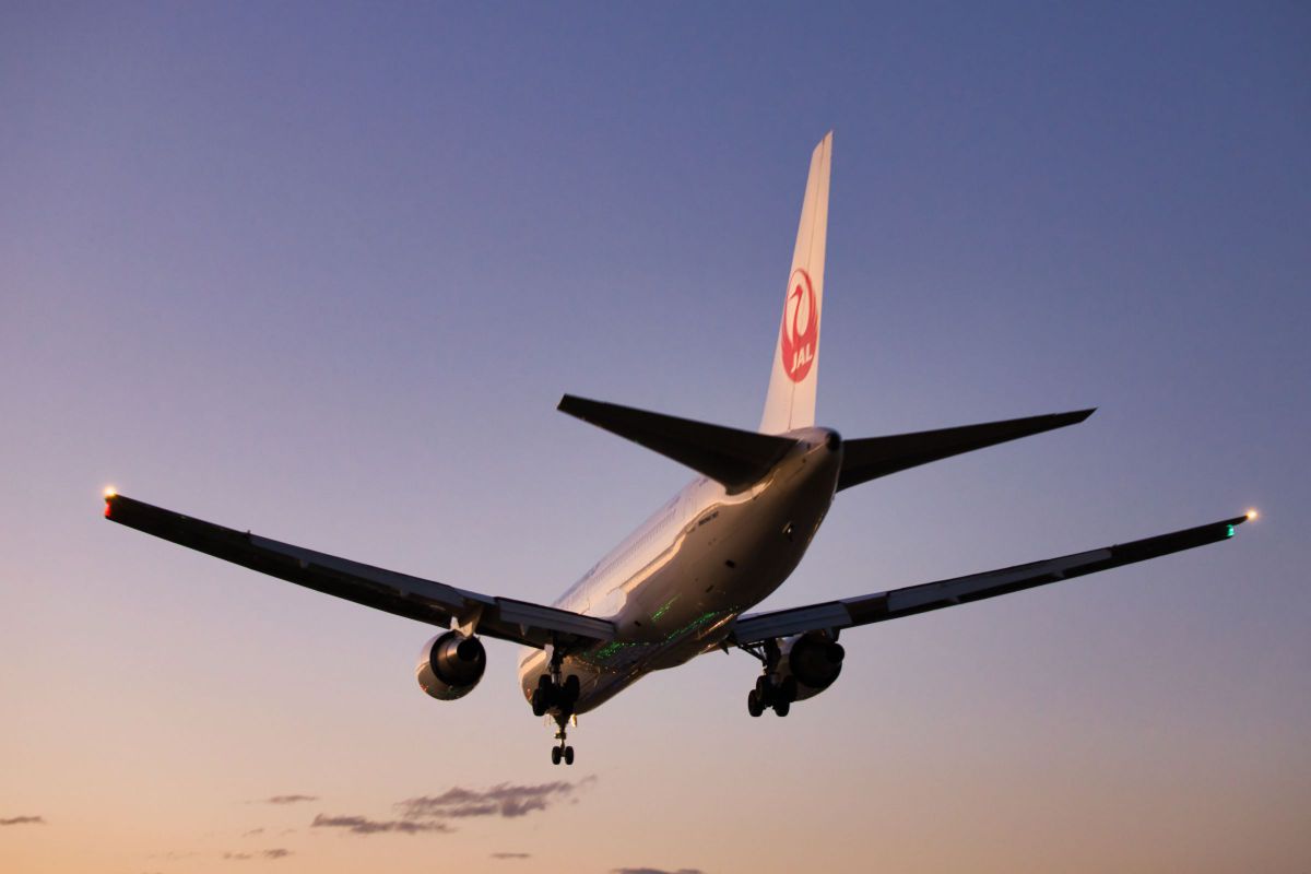 光沢感！ | GANREF