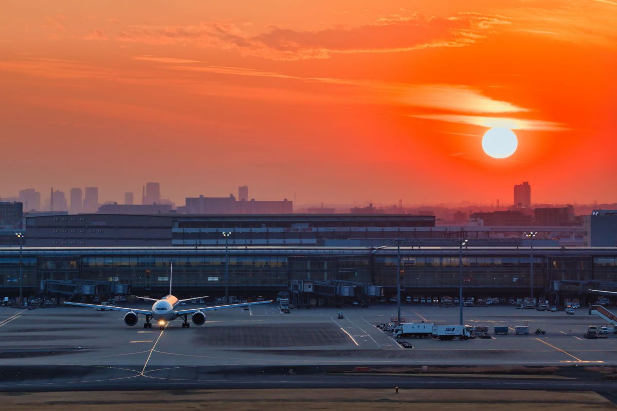 羽田の茜色 | GANREF