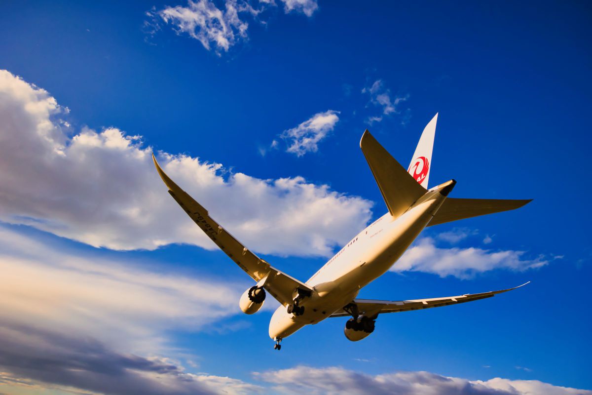 頭上の快鳥 | GANREF