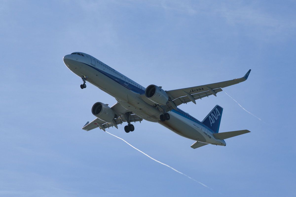 ひょろ～。 | GANREF