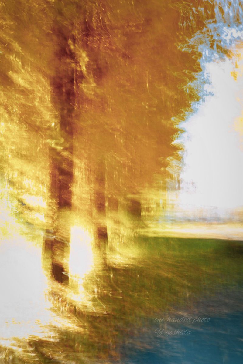 夜ノ森公園 | GANREF