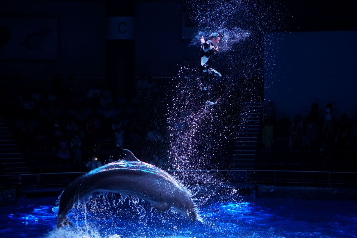 アクアパーク | GANREF