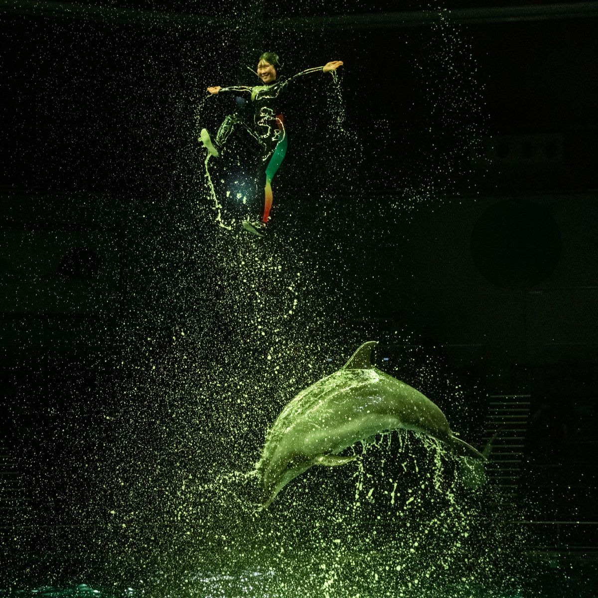 飛翔の歓声 | GANREF