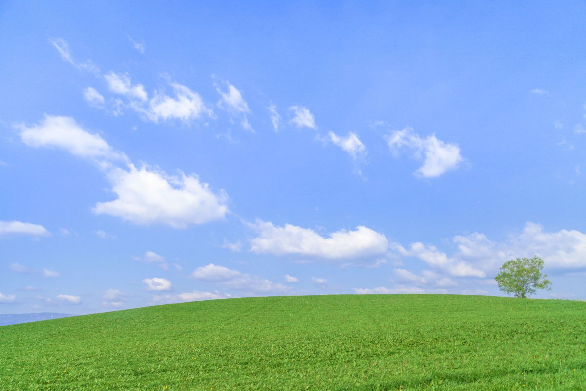 Windows ？ | GANREF