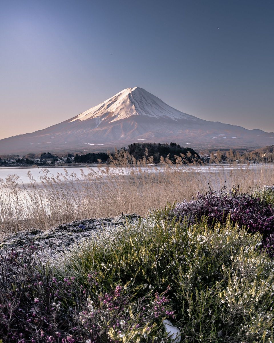 冬から春 | GANREF