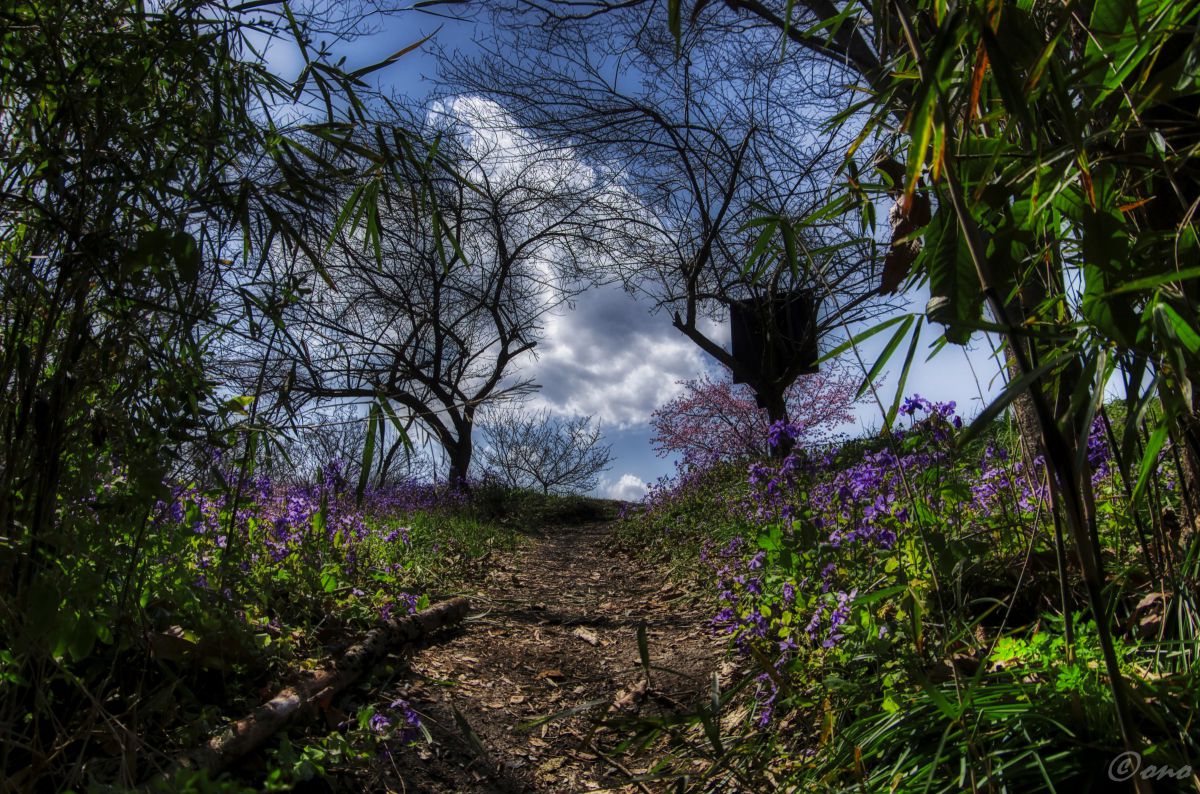 小さな上り坂 | GANREF