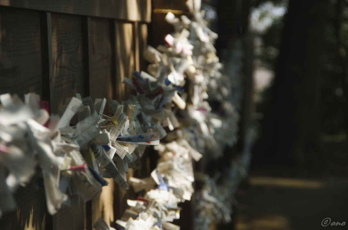 おみくじ | GANREF