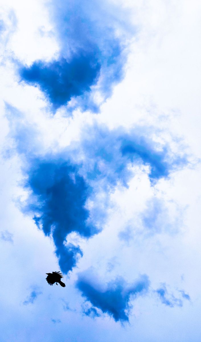 (1/12)変幻自在な雲03 | GANREF