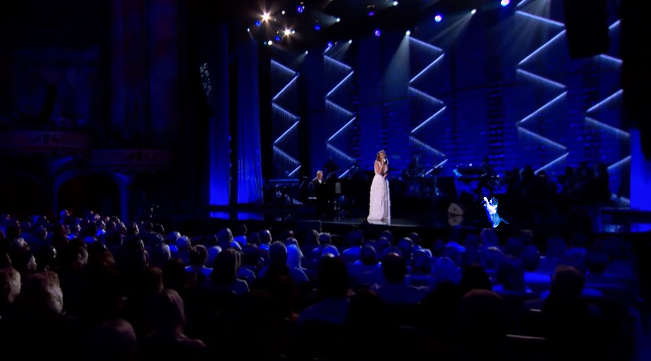 Loren Allred LIVEに・・にゃんこ様？ | GANREF