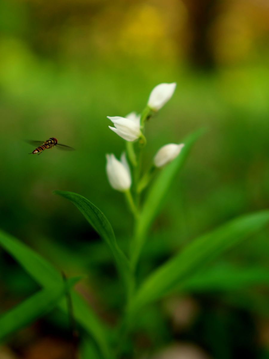 輝きに向かって | GANREF