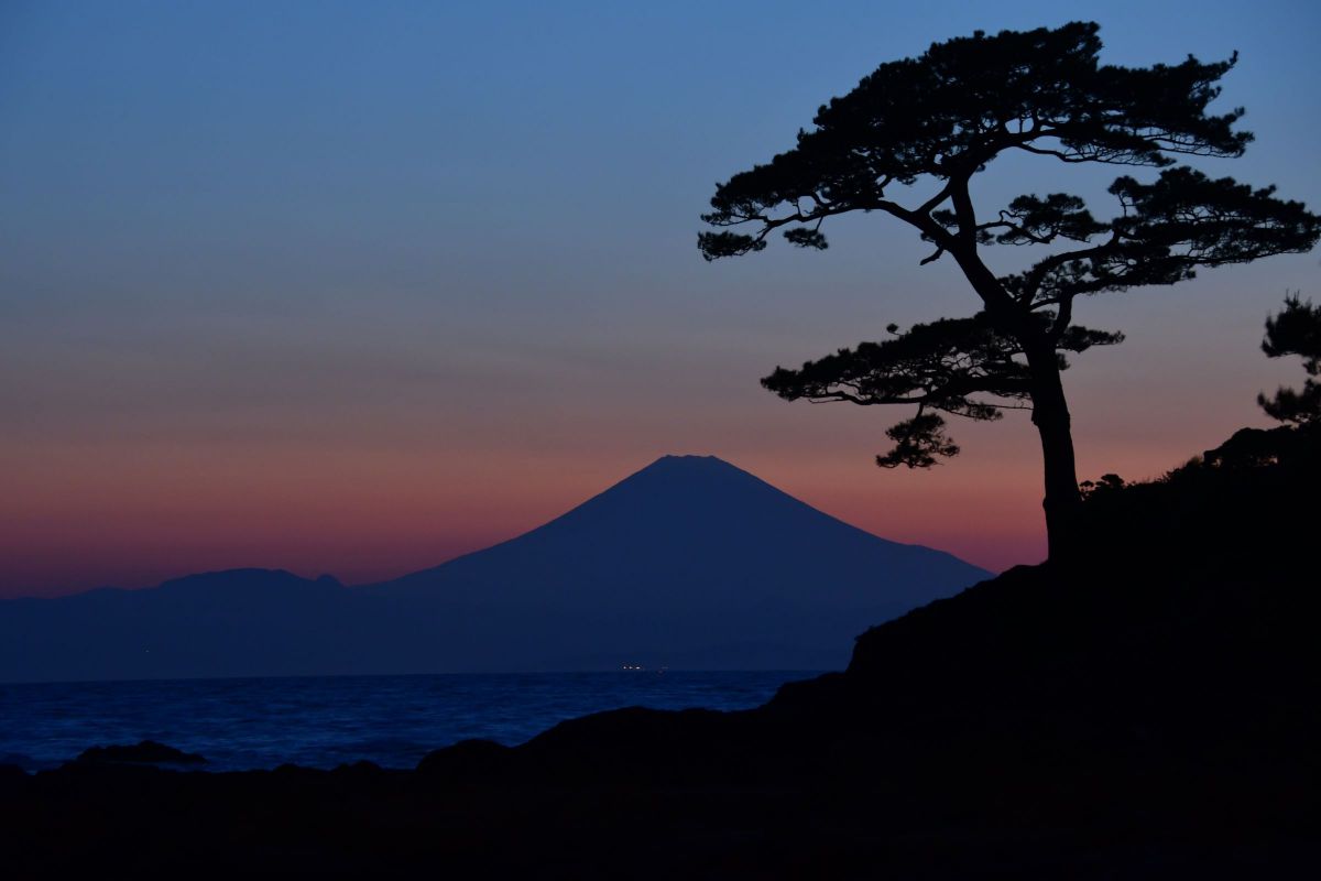 DSC_2356.JPG | GANREF