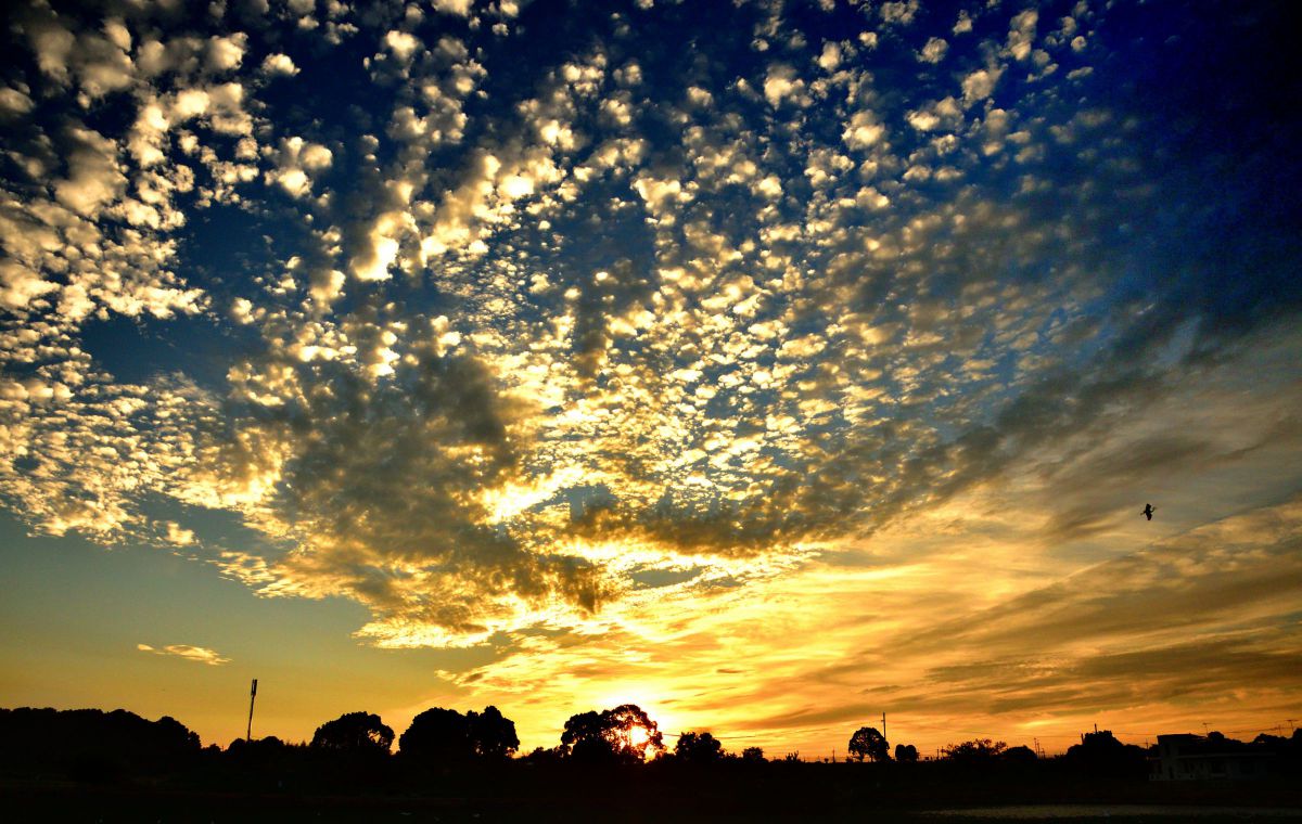 morning glow | GANREF