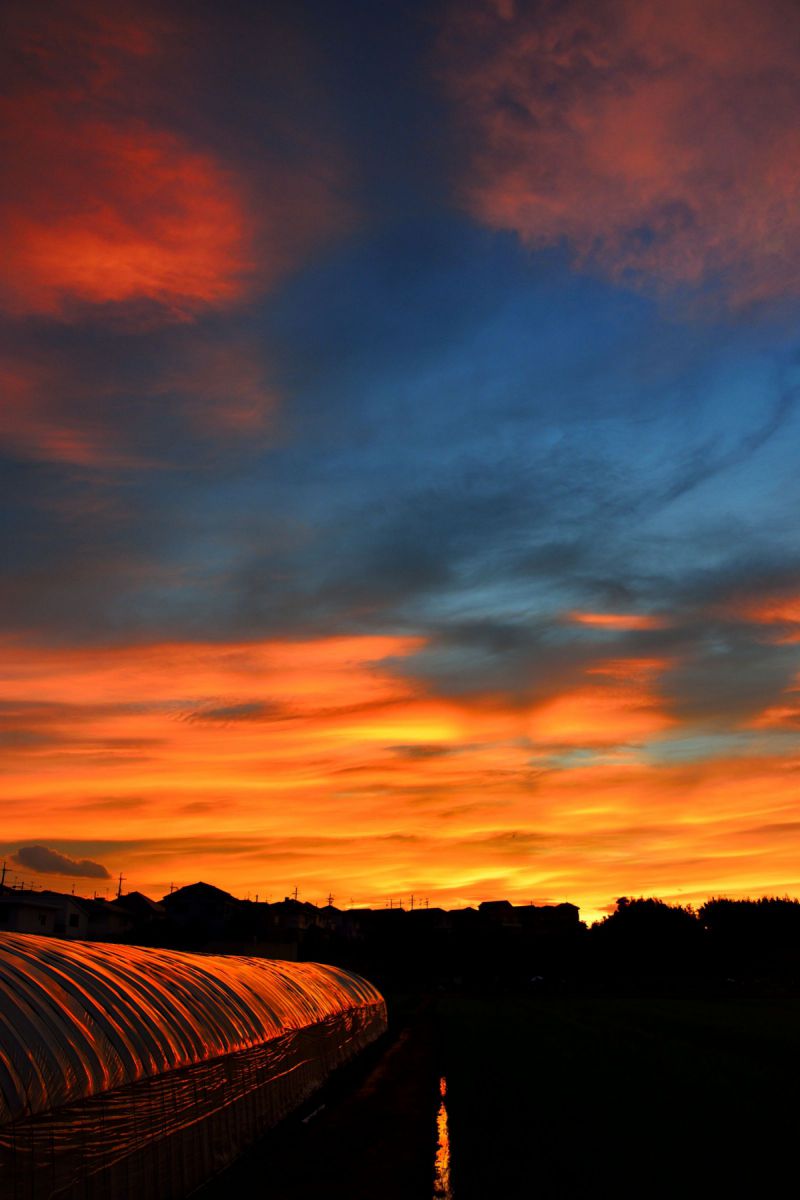 the red sky sunset | GANREF