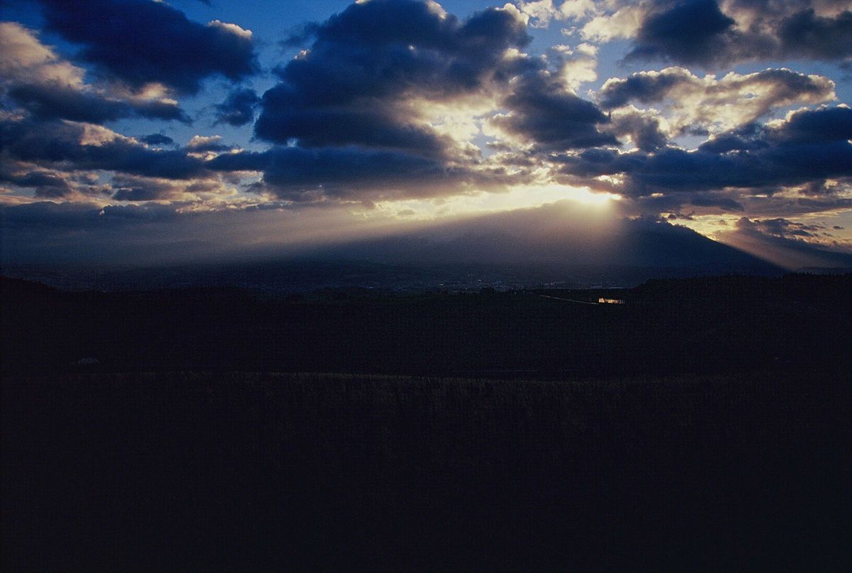 natural beam | GANREF