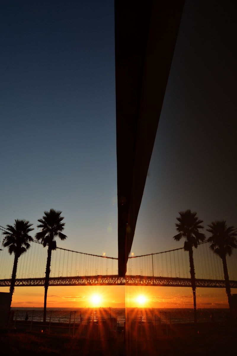 double suns | GANREF