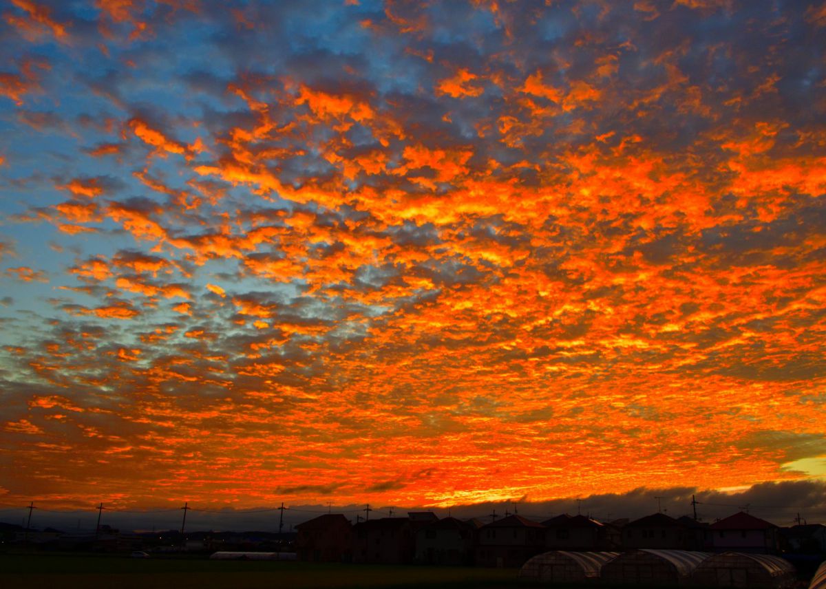 mornig glow | GANREF