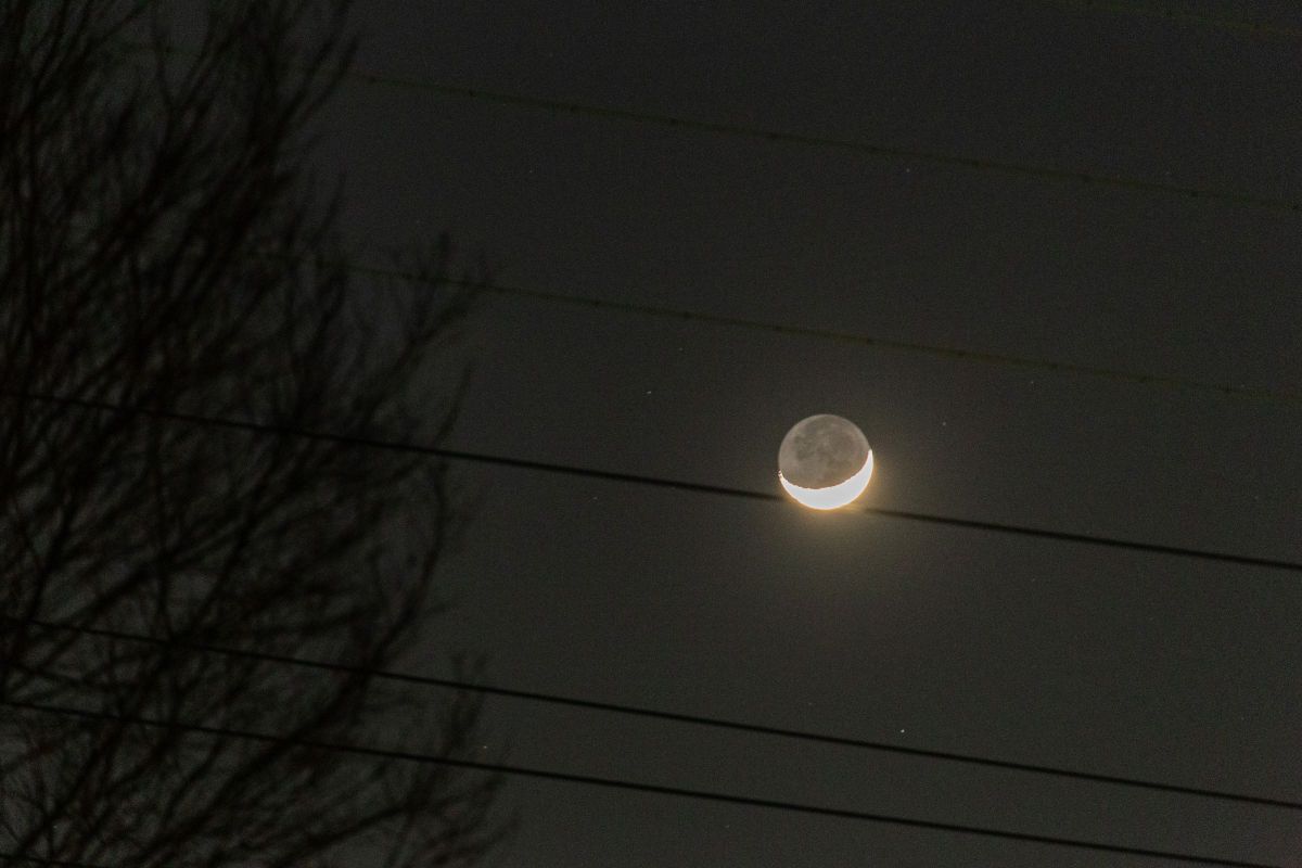 Moon on wire | GANREF