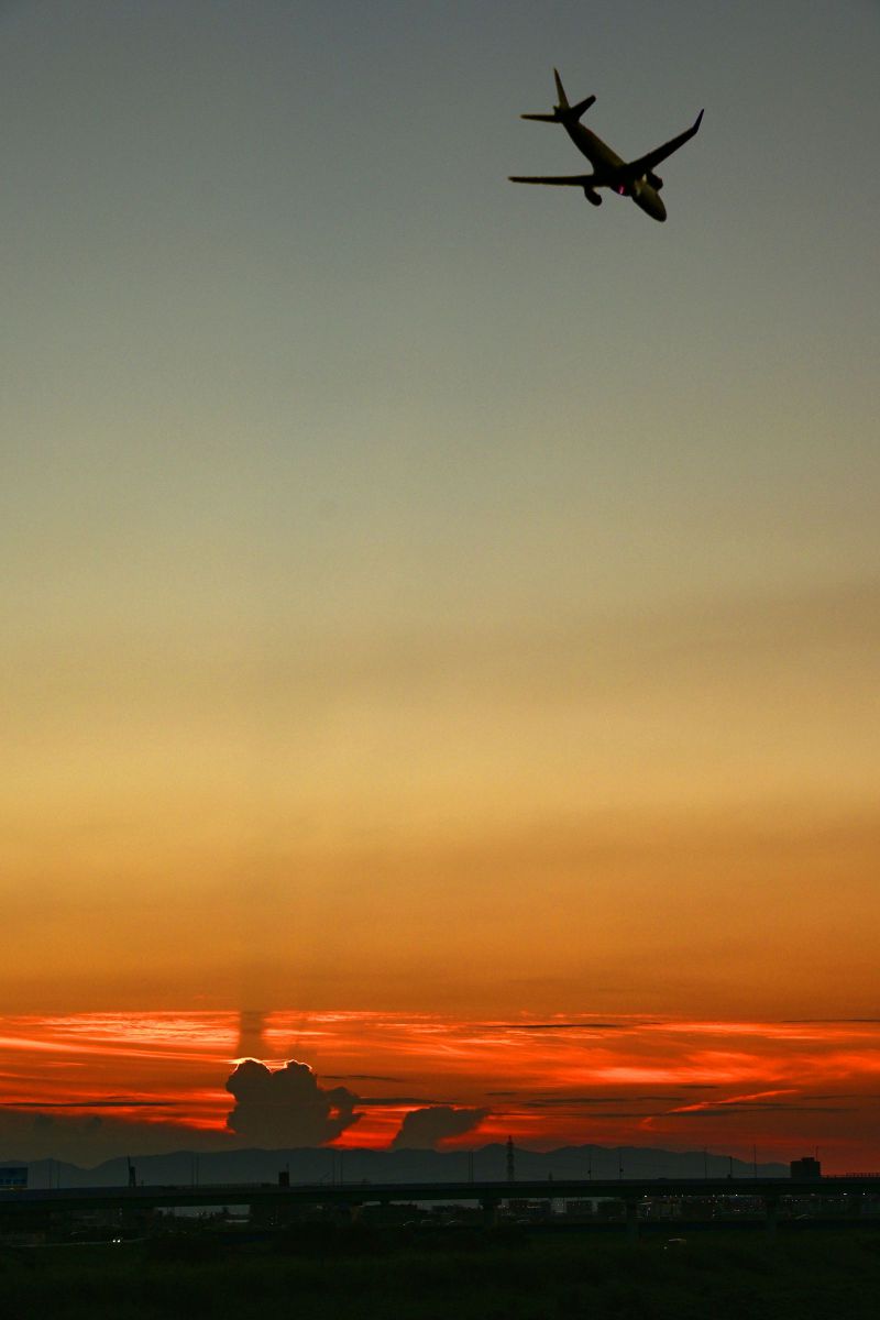 Twilight Flight | GANREF