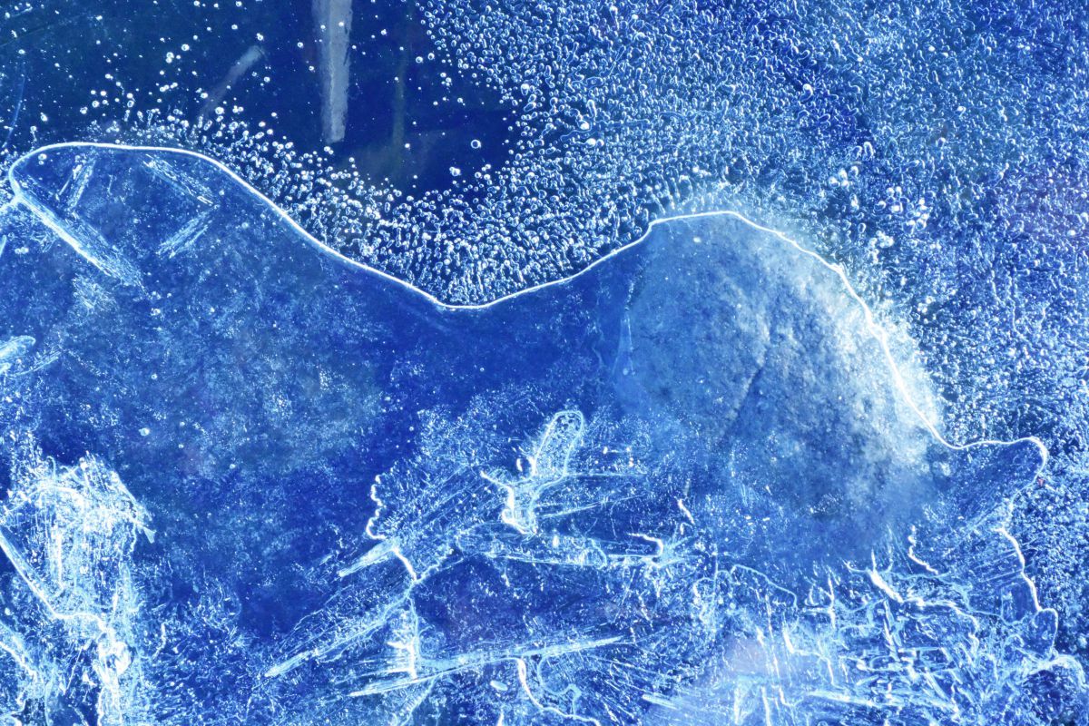 ice art・6 | GANREF