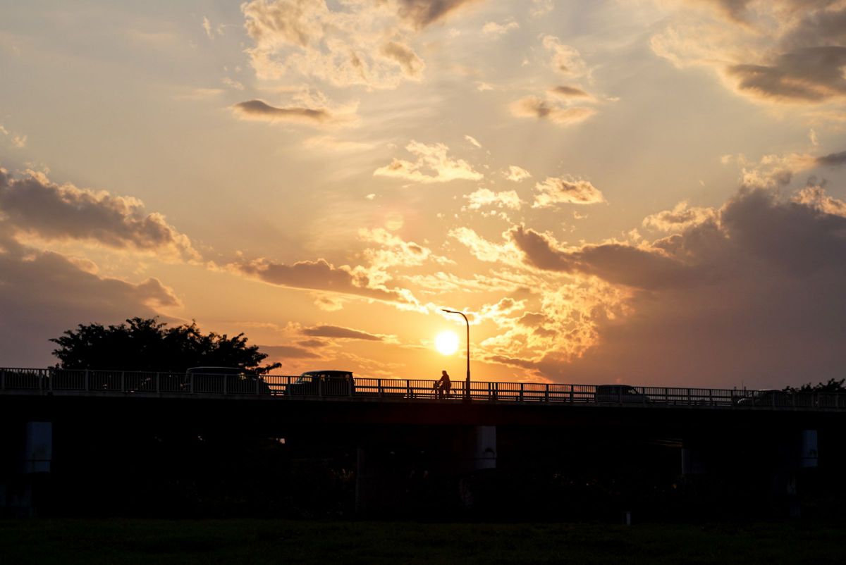 go back to the start | GANREF