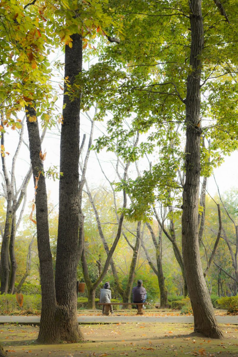 same direction | GANREF