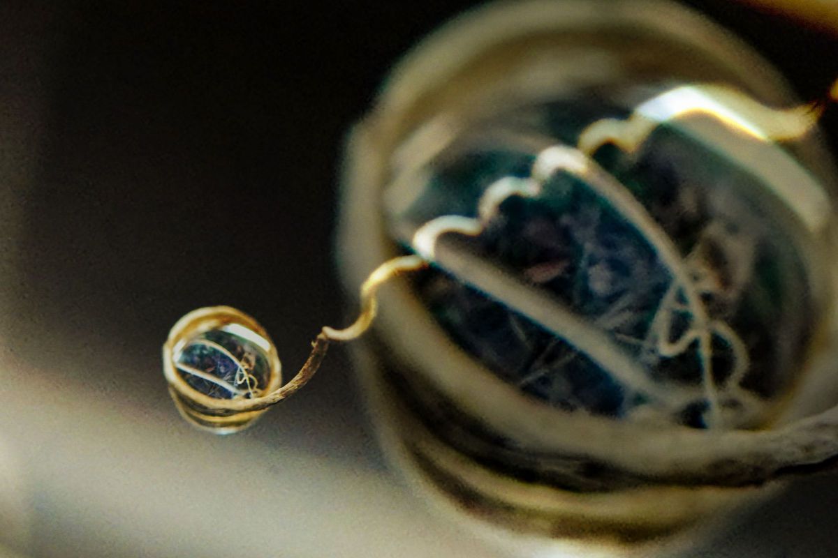 spring water | GANREF